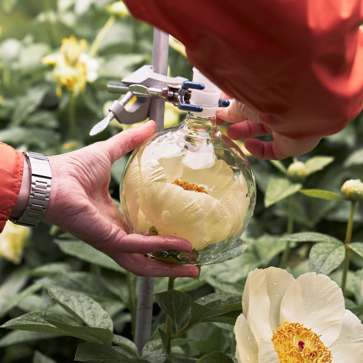 Headspace Technology For Fragrances – Parfumerie Nasreen